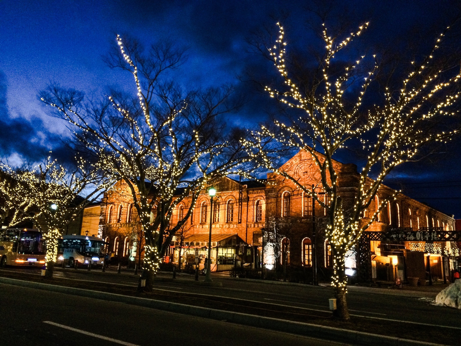 イルミネーション特集【2016年‐2017年】 | icotto（イコット）